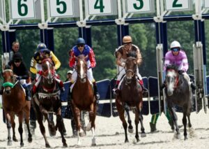 Tote Placepot Rules Explained: What Is a Placepot Bet? - Bet442
